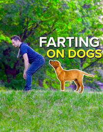 Watch S02 E06 - Farting On Dogs - Farting With Attitude | Free TV Shows ...